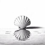 25 Fun and Creative Seashell Drawing Ideas to Explore